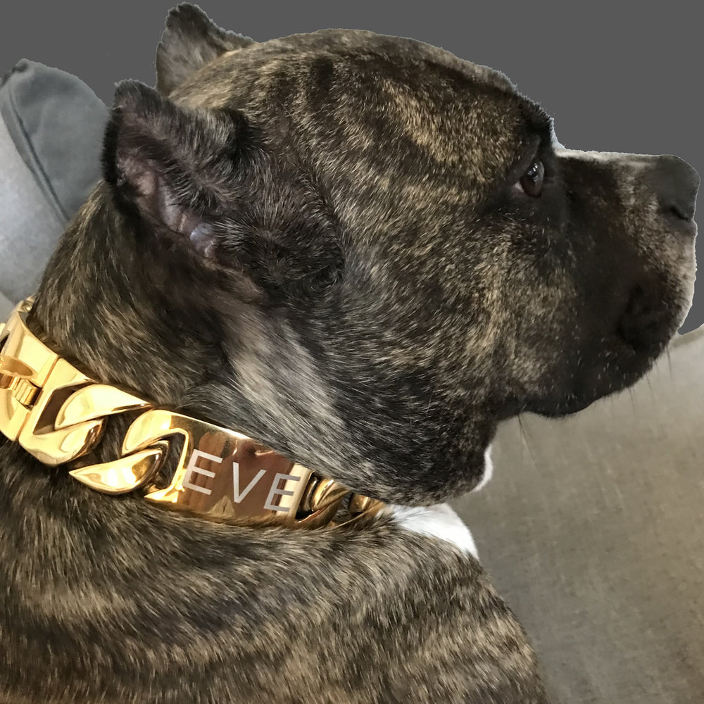 Dog Chain Collars | Exclusively big dog chains – Pit Bull Outfitters